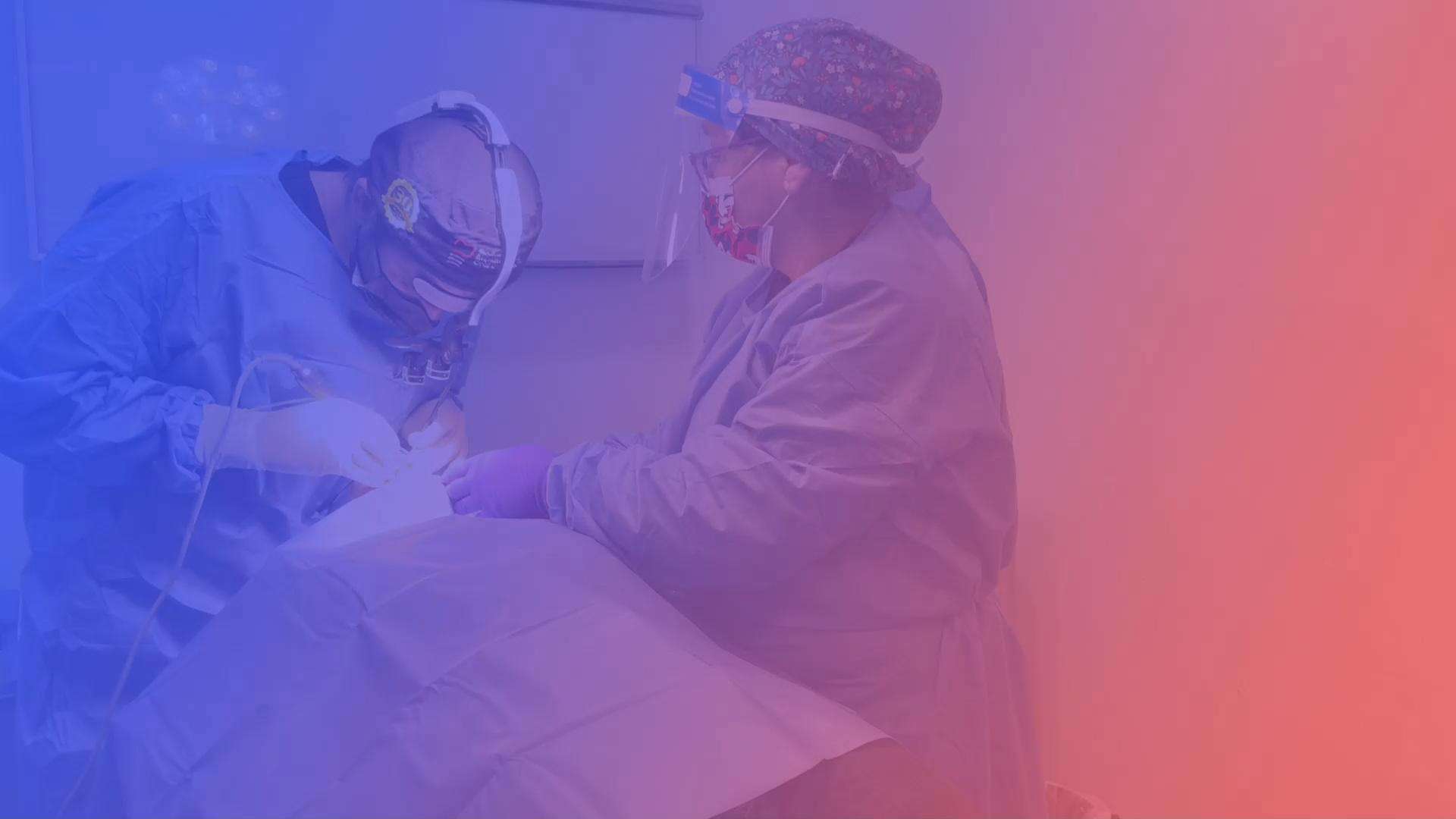 Injerto de hueso Dental - Red Implantologia Viña Injerto de hueso Dental - Red Implantologia Viña